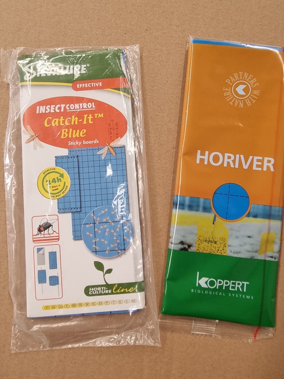 Experience of Thrip control with Predators - Grower2Grower