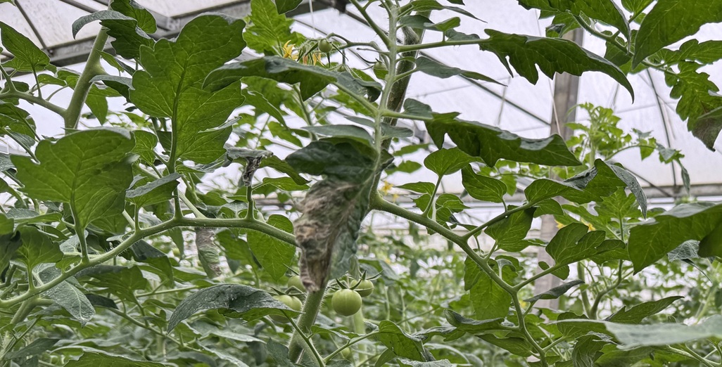 Winter Bites - Grower2Grower